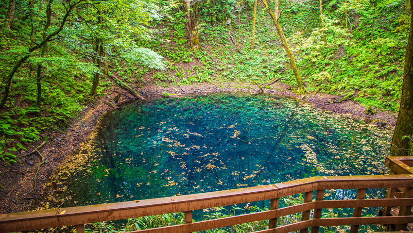 青森 紅葉の白神山地と奥入瀬渓流 | 株式会社グローバル